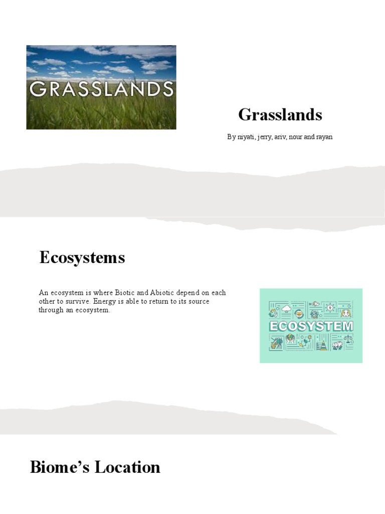 Geography PPT - Grasslands | PDF | Grassland | Ecosystem
