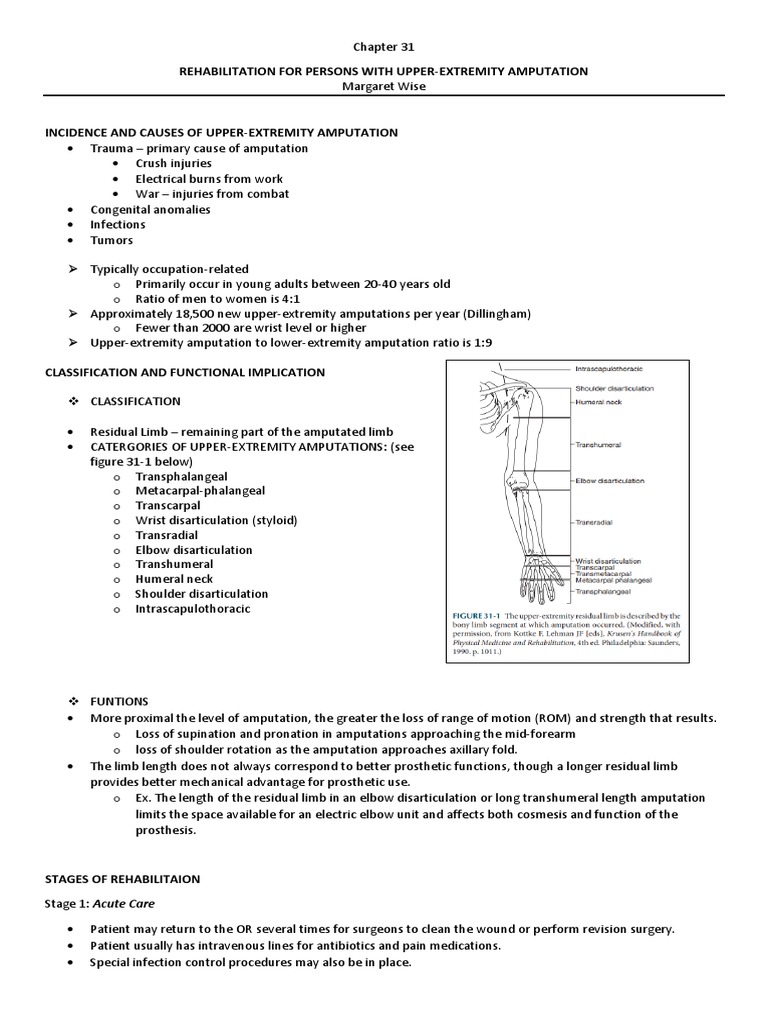 Rehabilitation For Persons With Upper Extremity Amputation | PDF ...