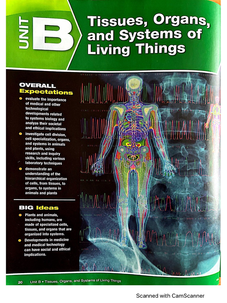 Science Chapter 2 Part 1 | PDF