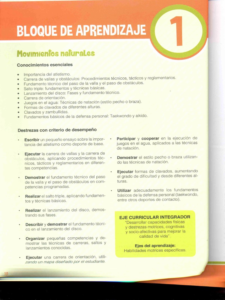 Actividades Eeff | PDF