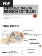 Musculos de La Nuca | PDF | Anatomía humana | Sistema musculoesquelético