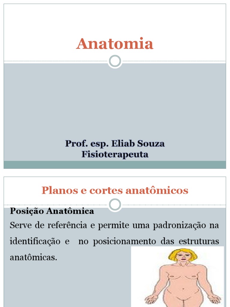 Planos e Cortes Anatômicos | Download grátis PDF | Anatomia ...