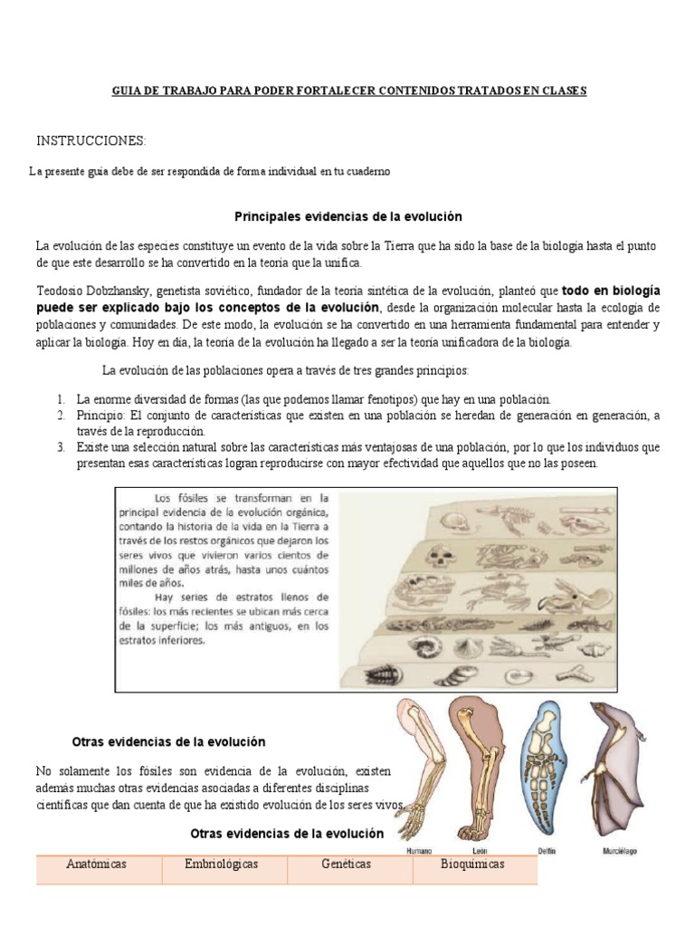 Guia de Reforzamiento de Evolucion | PDF | Evolución | Organismos