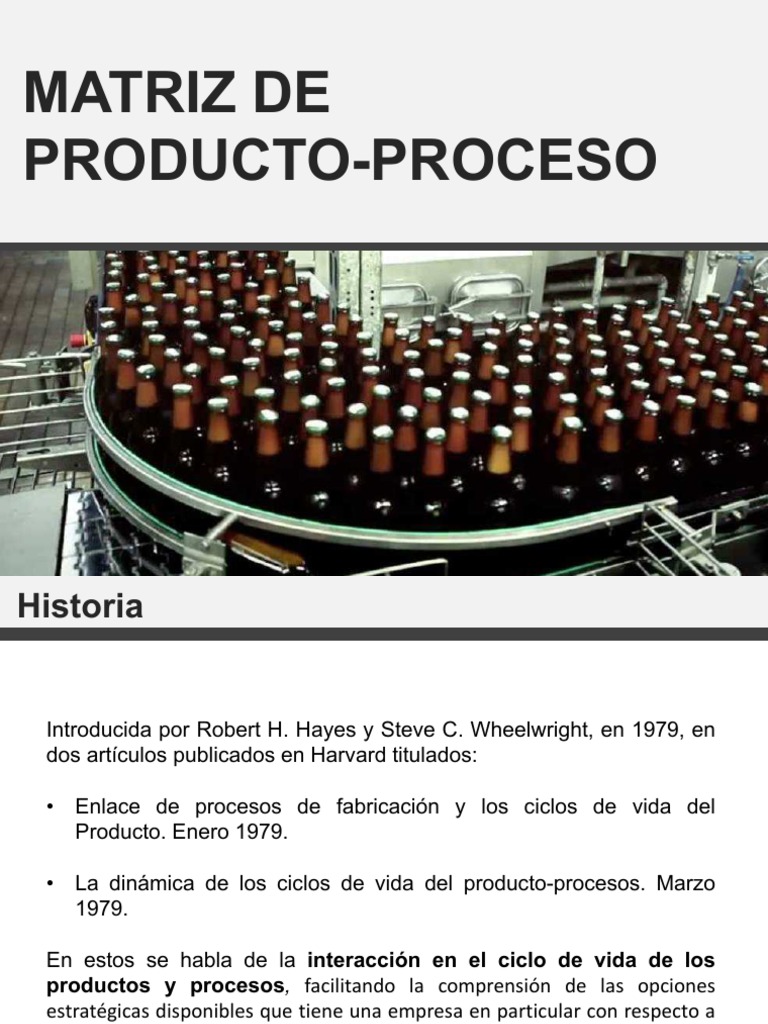 Matriz de Producto Proceso | PDF | Matriz (Matemáticas) | Business