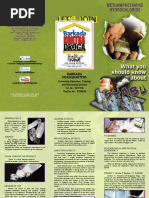 Brochure - DRUGS Preview PDF | PDF | Substance Abuse | Drugs