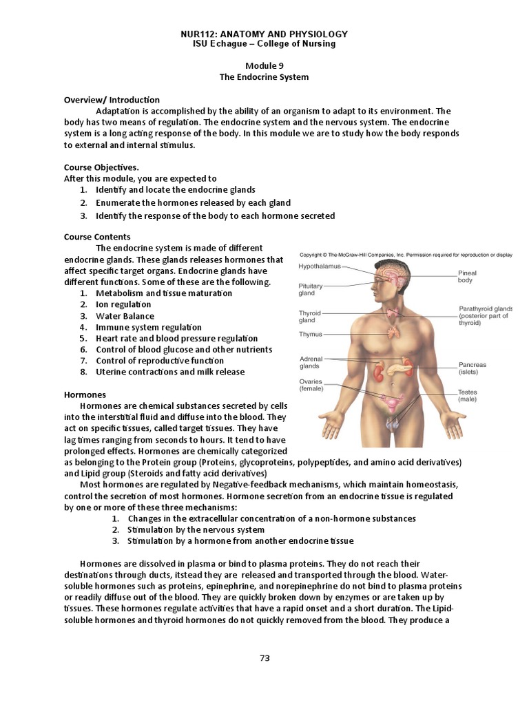 The Endocrine System Overview/ Introduction: Nur112: Anatomy and ...