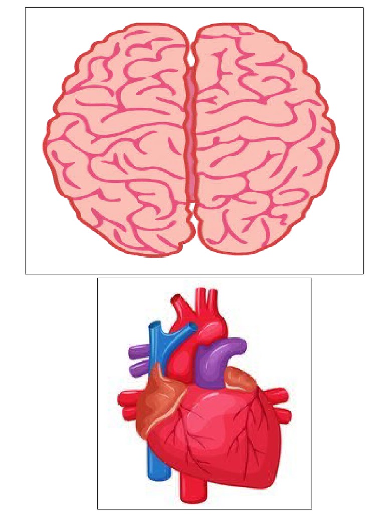 Sistem Saraf THN 6 | PDF