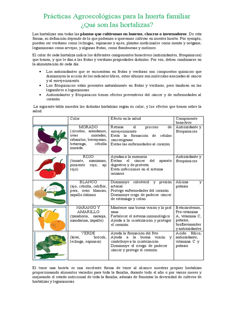 Guía Práctica Cultivo de Hortalizas | PDF | Suelo | Siembra