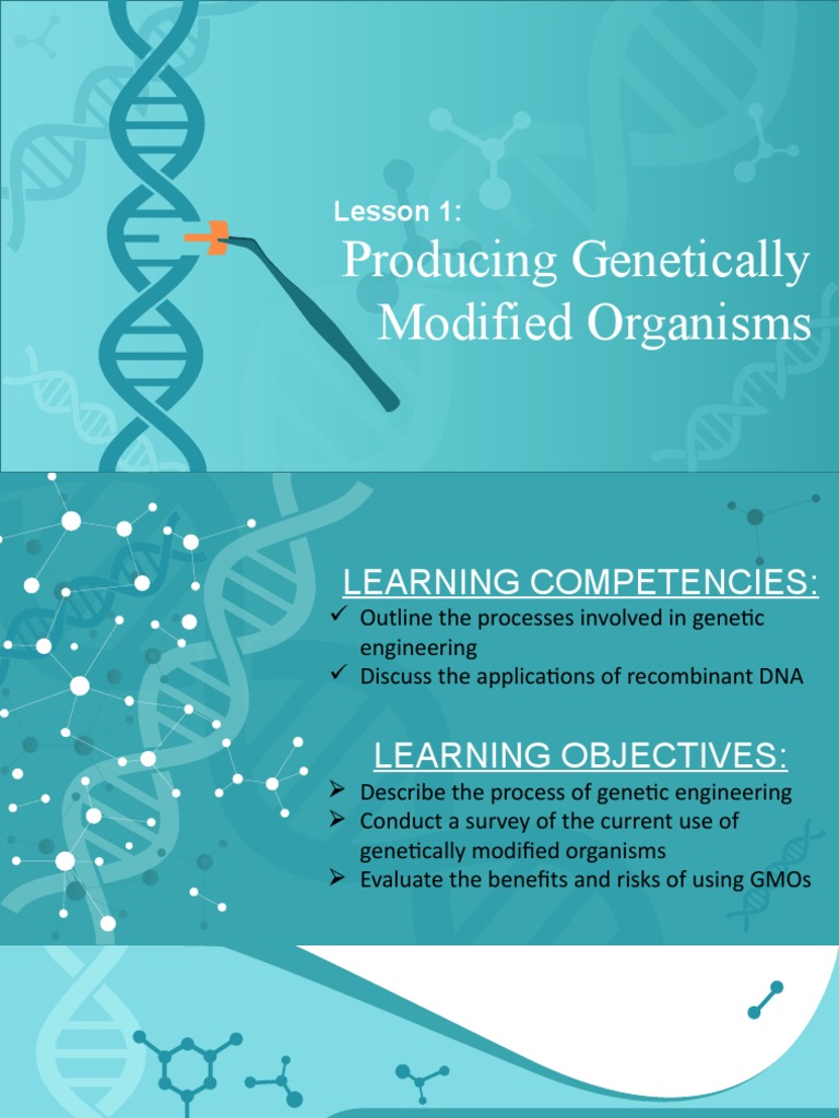 Lesson 1A - Producing GMOs | PDF | Molecular Cloning | Genetically ...