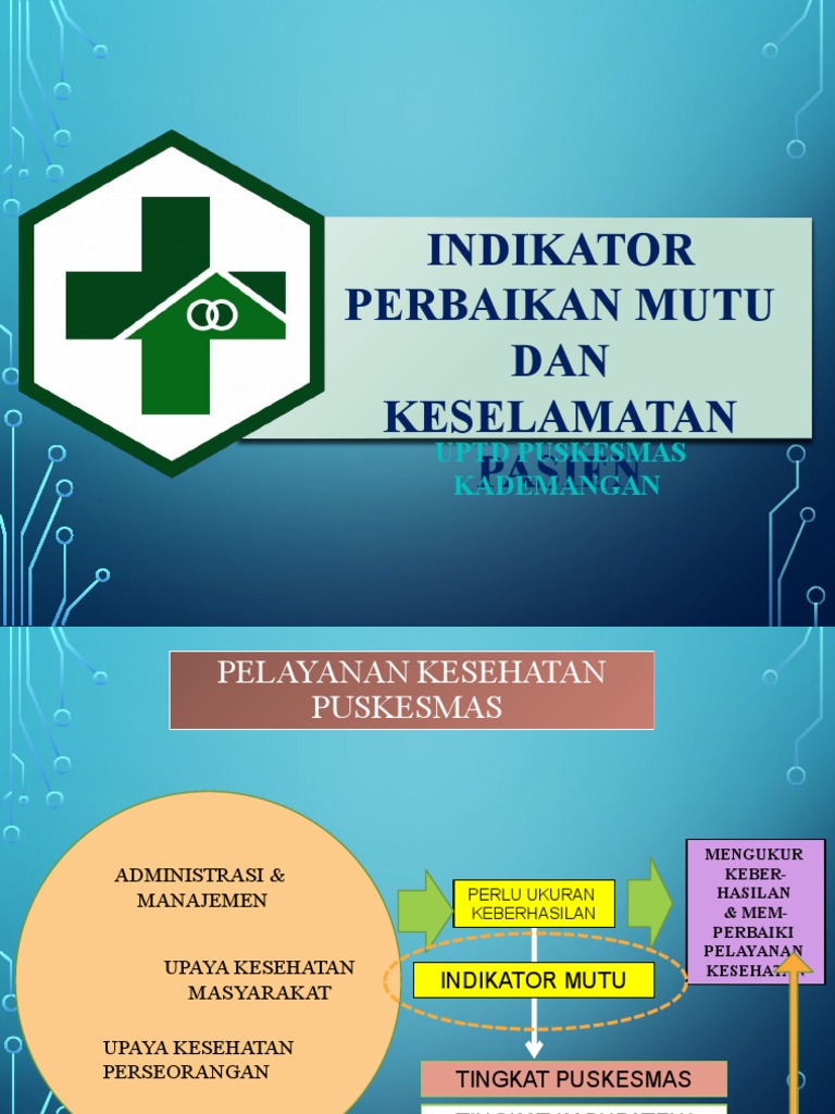 Indikator Mutu Puskesmas | PDF