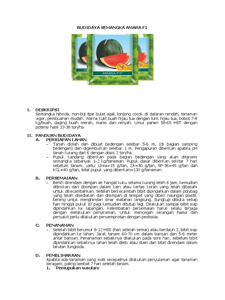 Budidaya Semangka Amara f1 | PDF