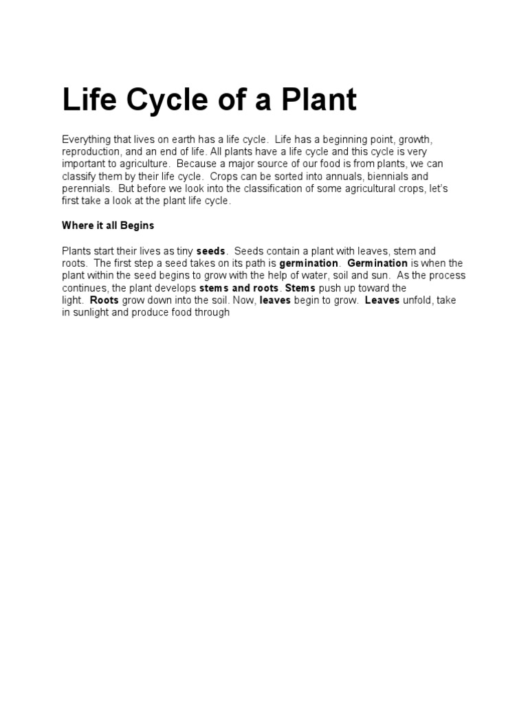 Life Cycle of Plants | PDF