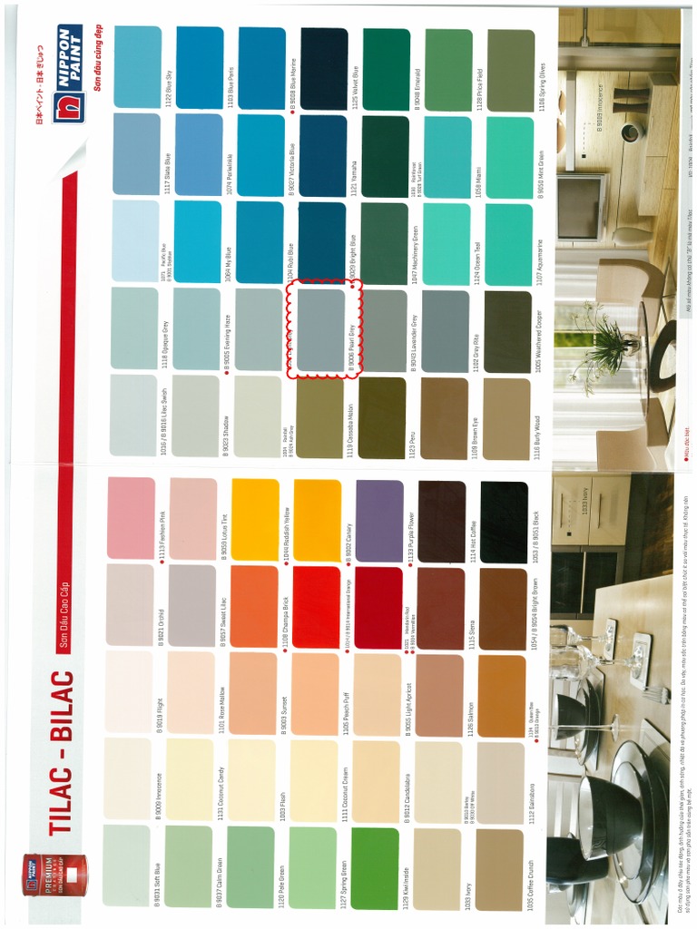 Steel Paint Color | PDF