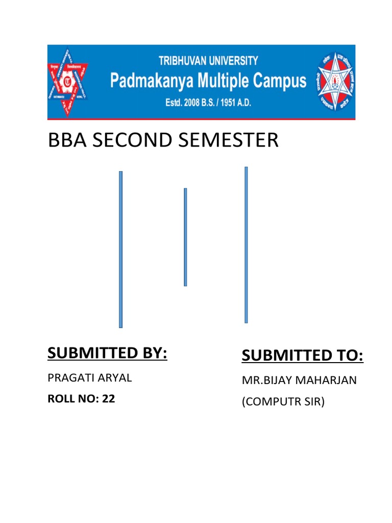 Bba Second Semester | PDF | Sql | Data Management Software