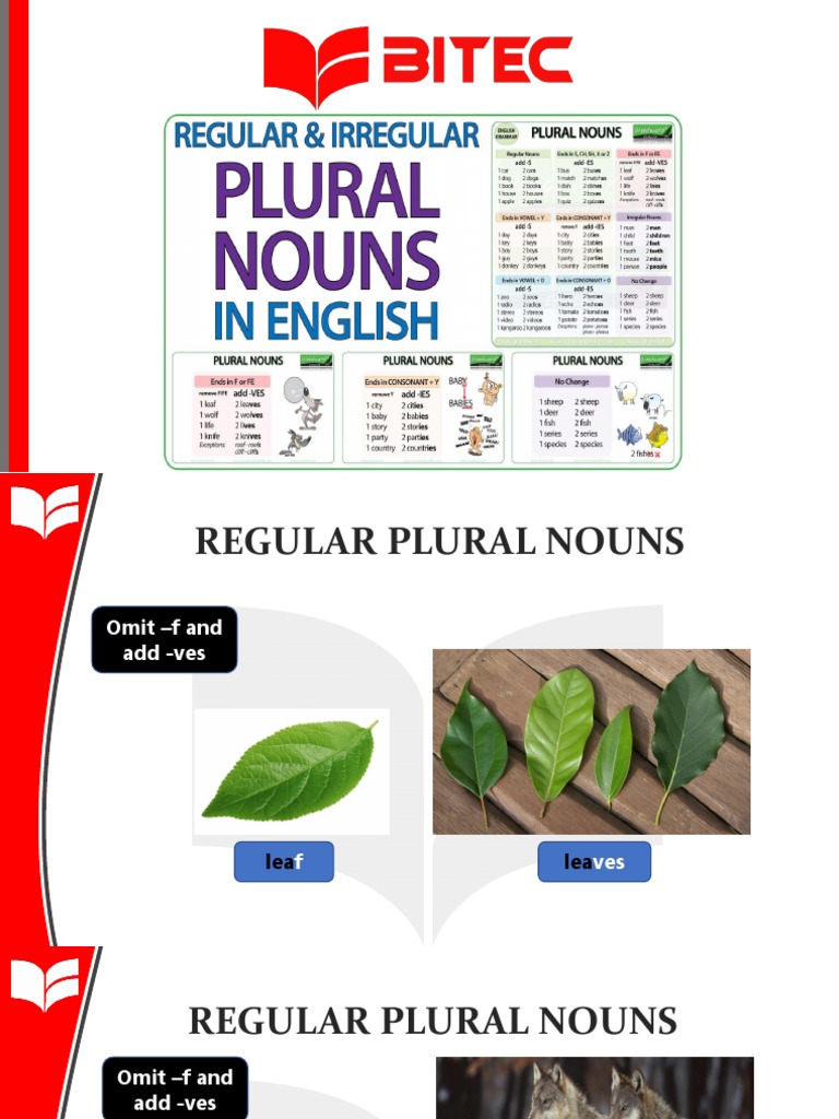 Plural Nouns-Rule #4 | PDF
