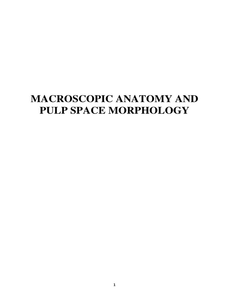 Macroscopic Anatomy and Pulp Space Morphology | Download Free PDF ...