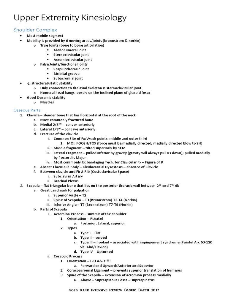 16 Upper Extremity (FINAL) | PDF | Elbow | Anatomical Terms Of Motion