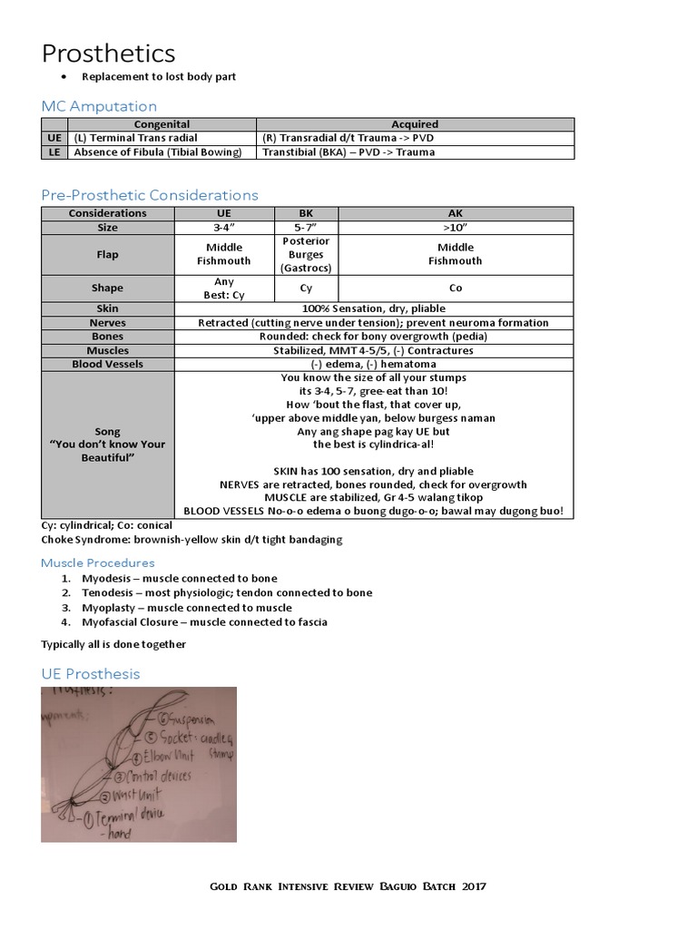 21 Prosthetics (FINAL) | PDF | Prosthesis | Anatomical Terms Of Motion