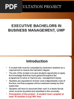 BSIT Capstone Project Manuscript Guidelines (Final) | PDF | Software ...