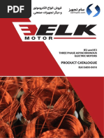 1TZ9 IE3 Lonne Motors Rev2 2015 | PDF | Cast Iron | Manufactured Goods