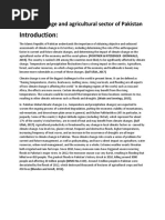 SBP Prudential Regulations Overview | PDF | Infrastructure | Banks