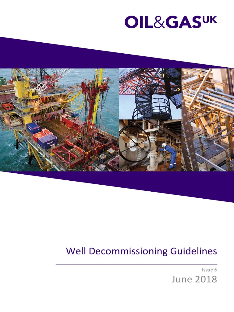 Well Decommissioning Guidelines: June 2018 | PDF | Casing (Borehole ...