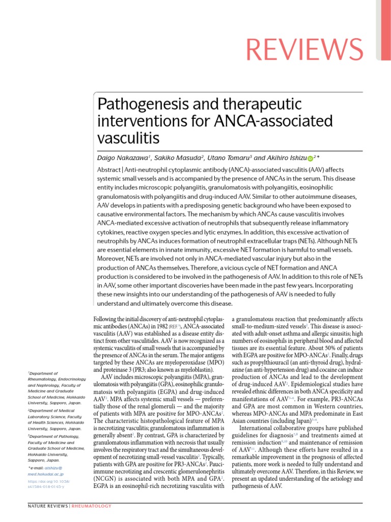 Pathogenesis and Therapeutic ANCA Associated Vasculitis | PDF | T ...