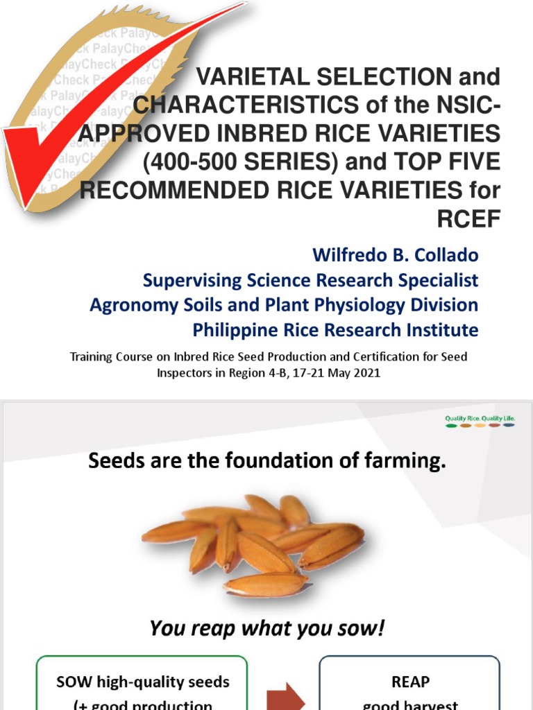 Varietal Selection - 18may2021 | PDF | Rice | Cereals