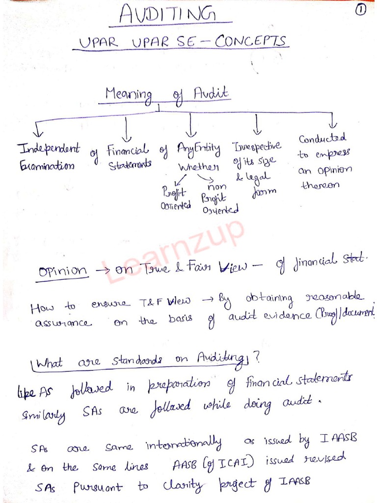 CA Inter Audit Handwritten Notes (Part-I) | PDF
