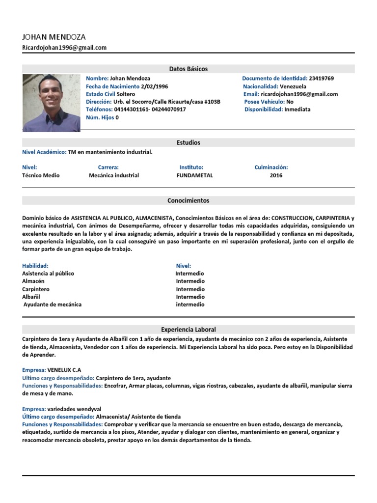 Curriculum Johan | PDF