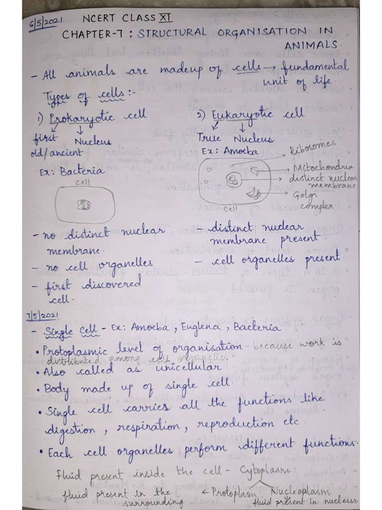 Zoology Notes 421004 Nikitha | PDF