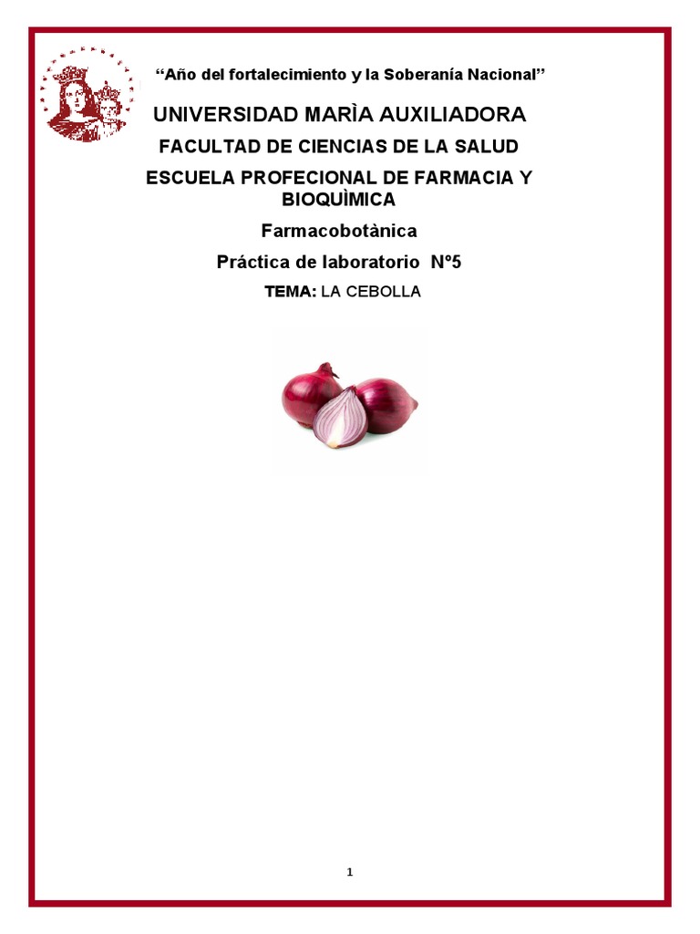 CEBOLLA | PDF | Cebolla | Alimentos