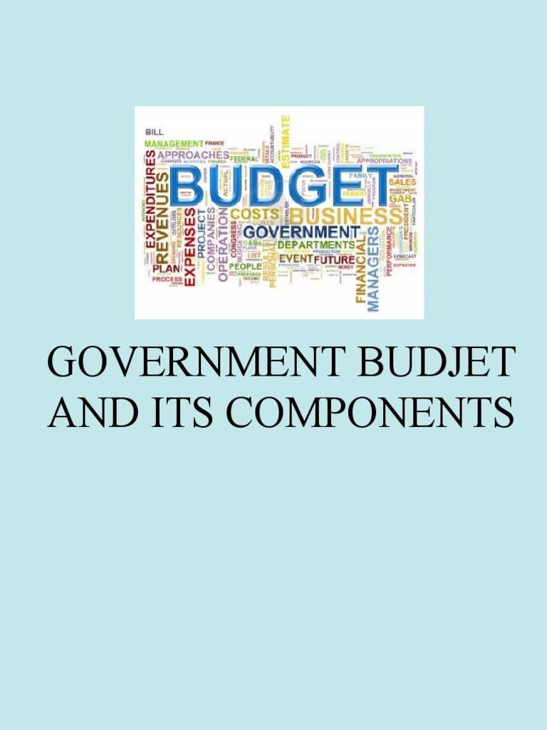 Eco Project Government Budgets | Download Free PDF | Taxes | Government ...