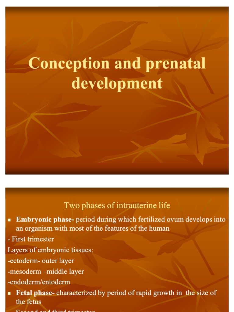 Conception and Prenatal Development | PDF | Fetus | Placenta