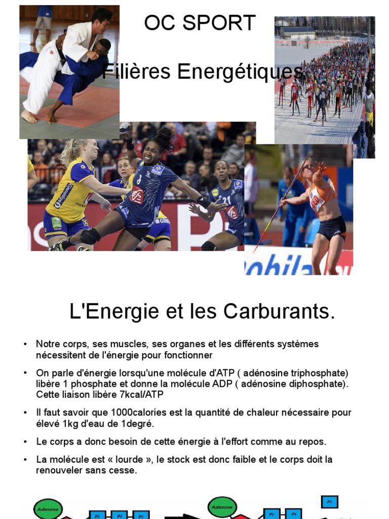 Filière Énergétque OC Sport | PDF | Respiration cellulaire | Glycolyse
