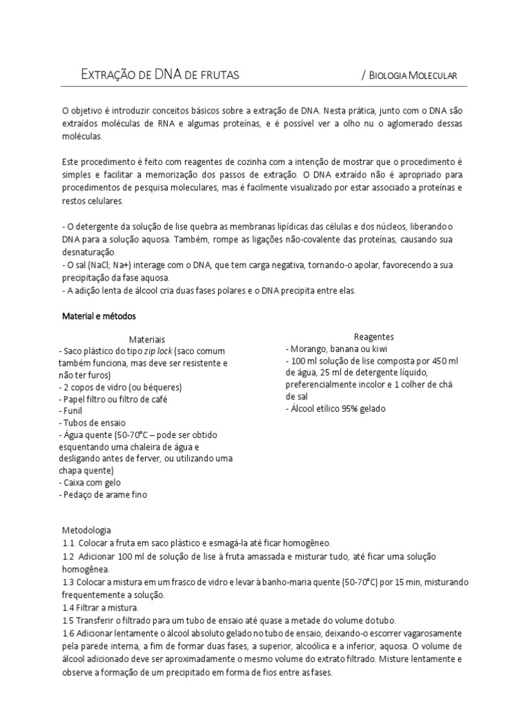 2-BioMol Extração de DNA de Frutas | PDF | DNA | Célula (Biologia)