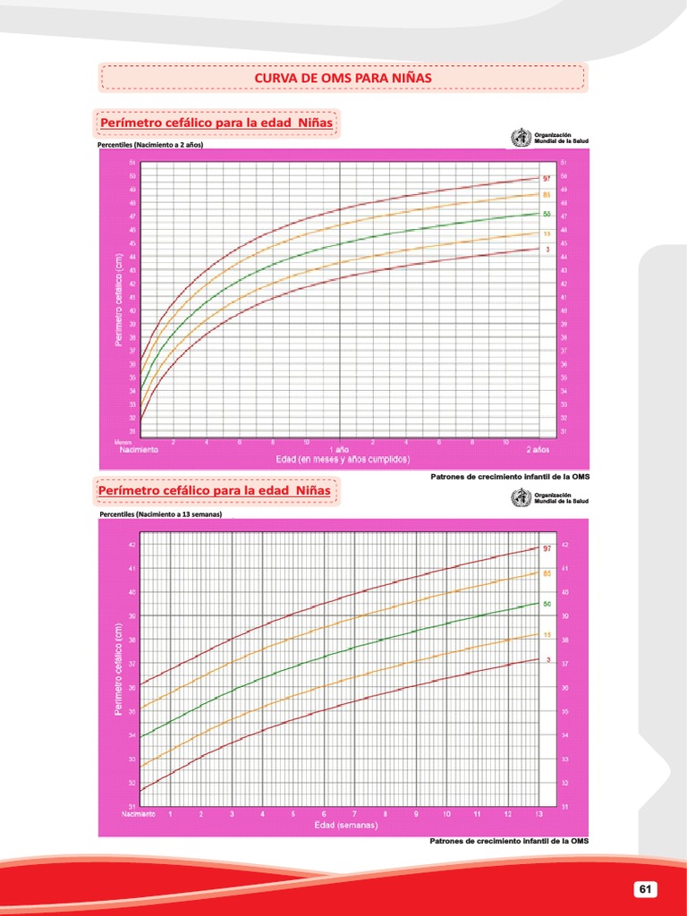 Perímetro Cefálico | PDF