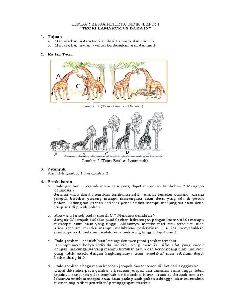 LKPD Teori Evolusi Lamark Vs Darwin | PDF