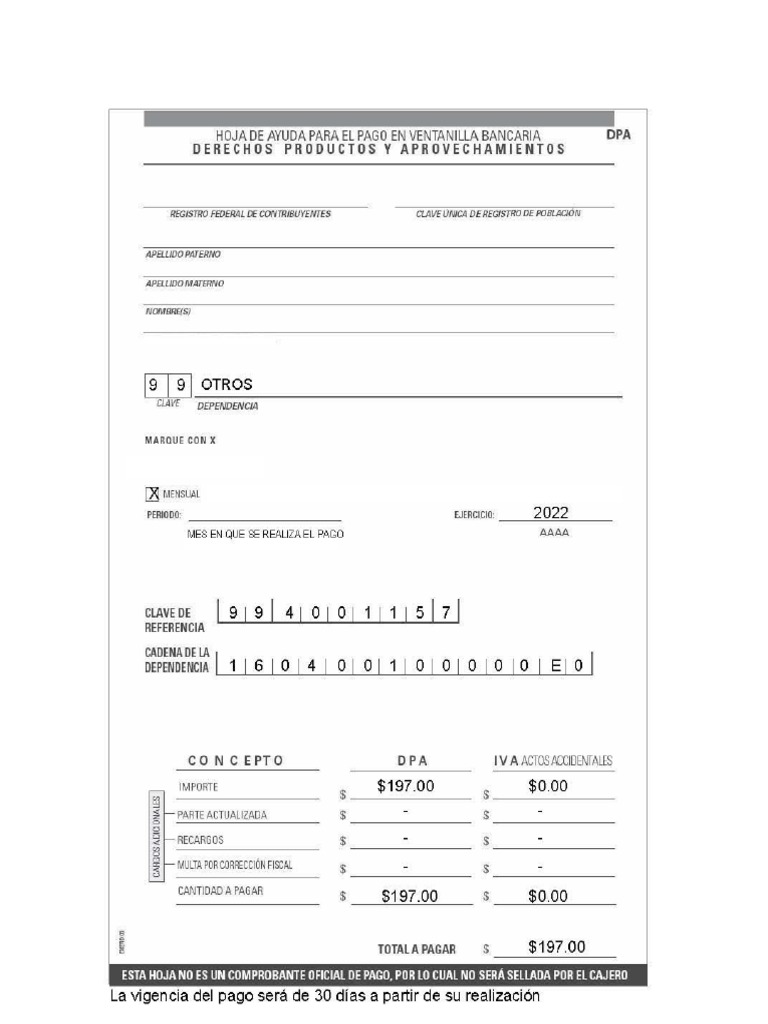 Formato E5 01 - DPA | PDF