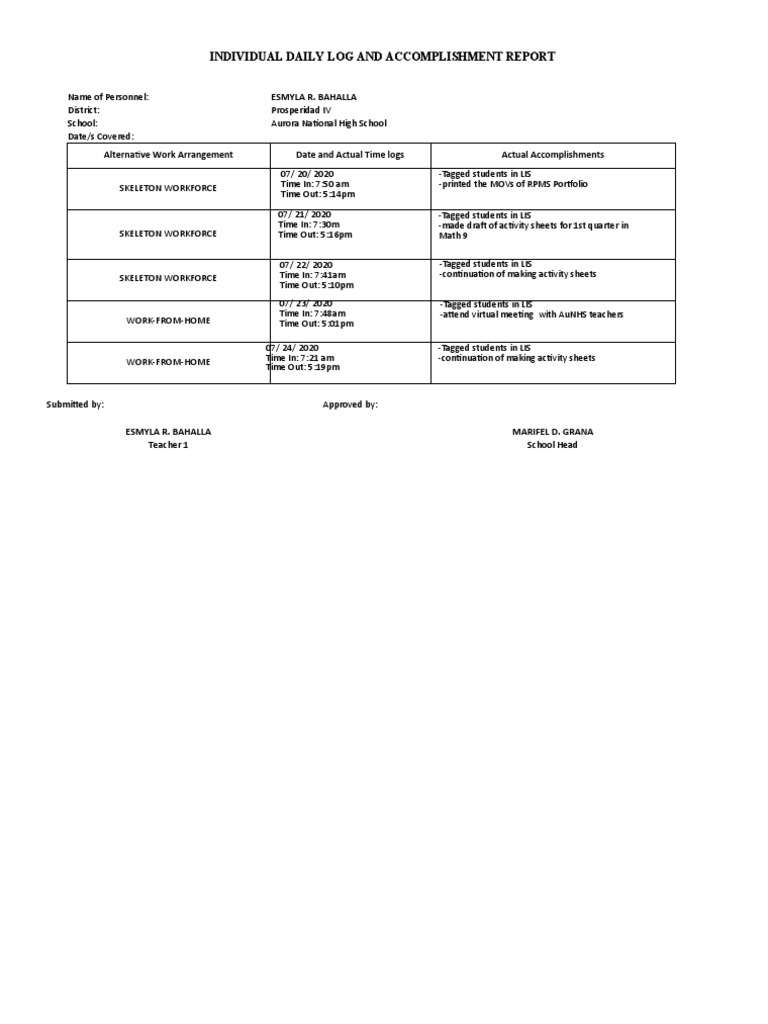 Daily Log and Accomplishment Report | PDF