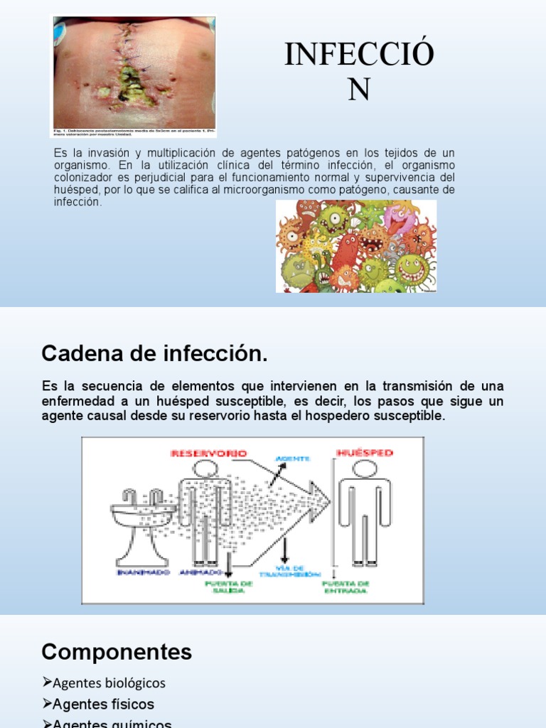 INFECCIÓN | PDF | Relaciones personales, crianza y desarrollo personal ...