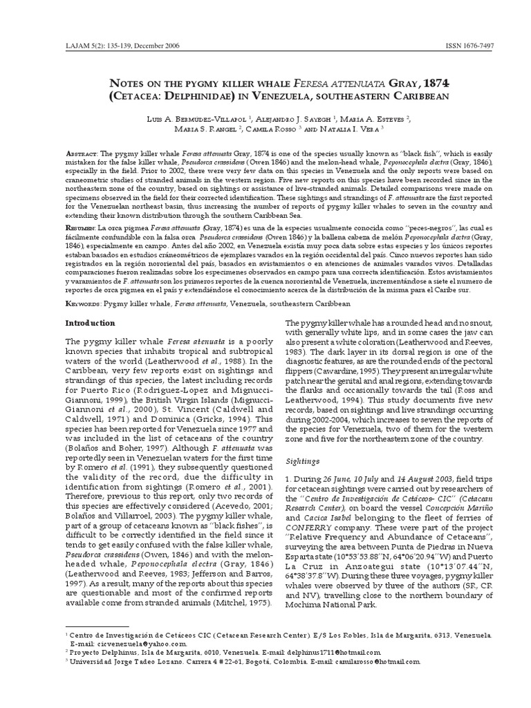 Feresa Attenuata - Lajam | PDF | Cetacea | Mammals