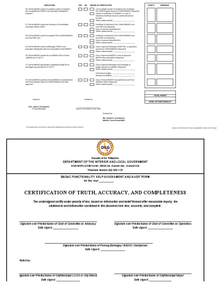 3-Badac Self-Assessment and Audit Form | PDF | Audit | Government