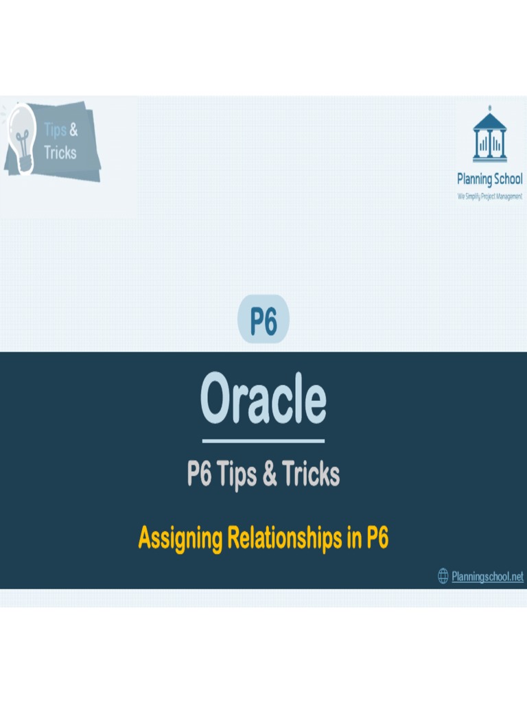 P6 Relationship Assignment Guide | PDF | Microsoft Excel | Computing
