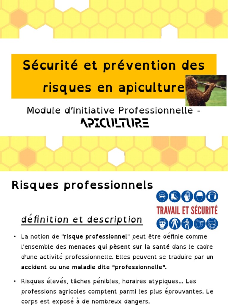 3 - MIP Apiculture - Les Risques Professionnels | PDF | Apiculture | Ruche