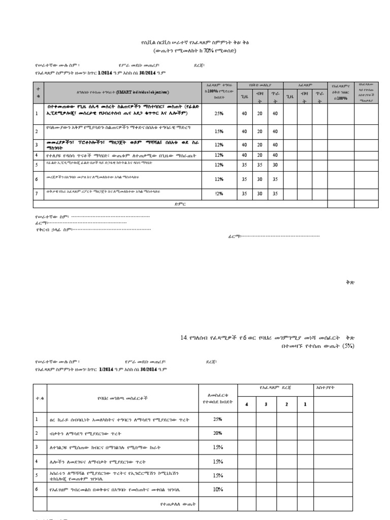 New BSC Evaluation Format | PDF