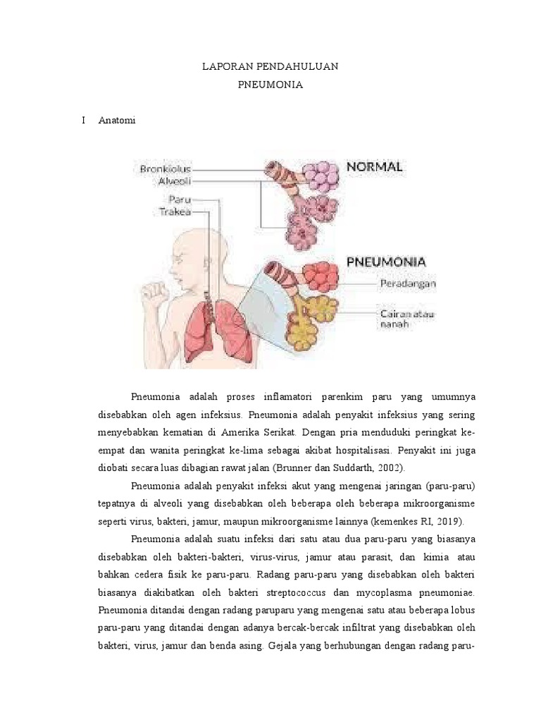 Pneumonia Anatomi Fisiologi dan Patofisiologi | PDF