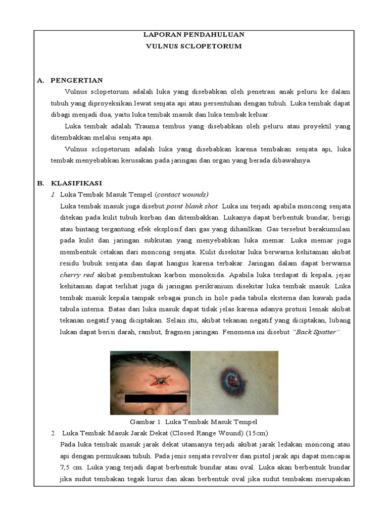 Pemahaman Vulnus Sclopetorum dan Klasifikasinya | PDF | Griya & Taman