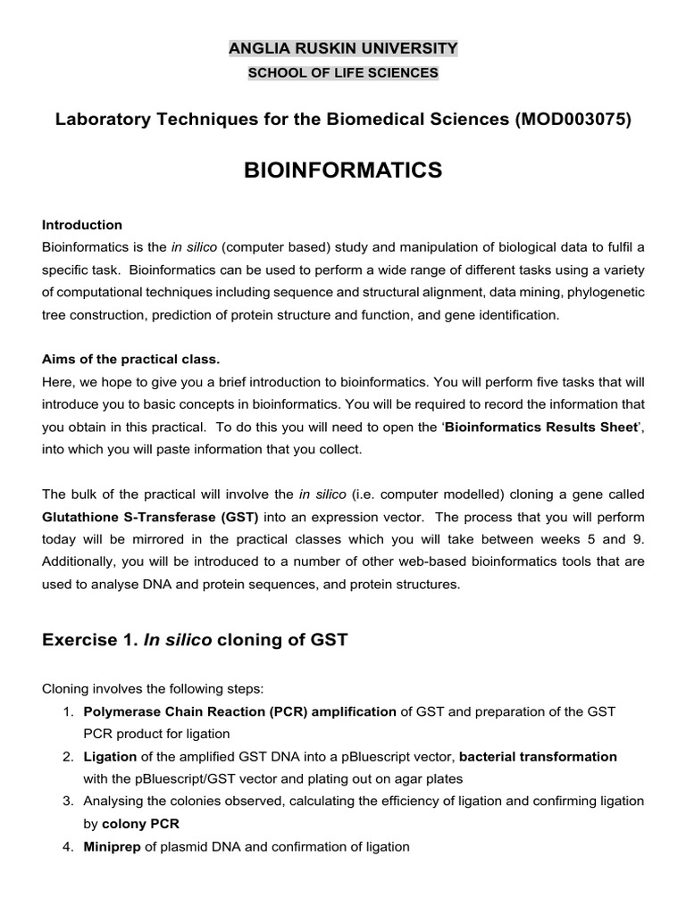 2019-20 Bioinformatics C | PDF | Primer (Molecular Biology ...