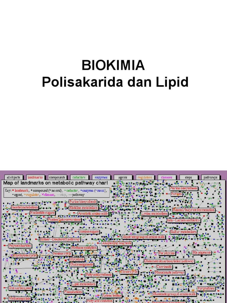 Polisakarida Lipid Metabolisme | PDF | Carbohydrates | Metabolism